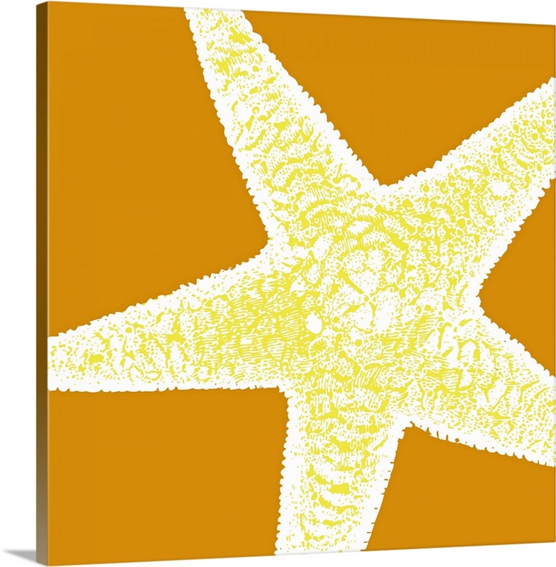 Graphic Shell I - mini | Great Big Canvas