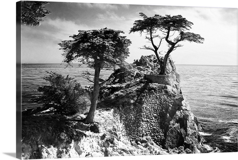 Ocean Cliff I | Great Big Canvas