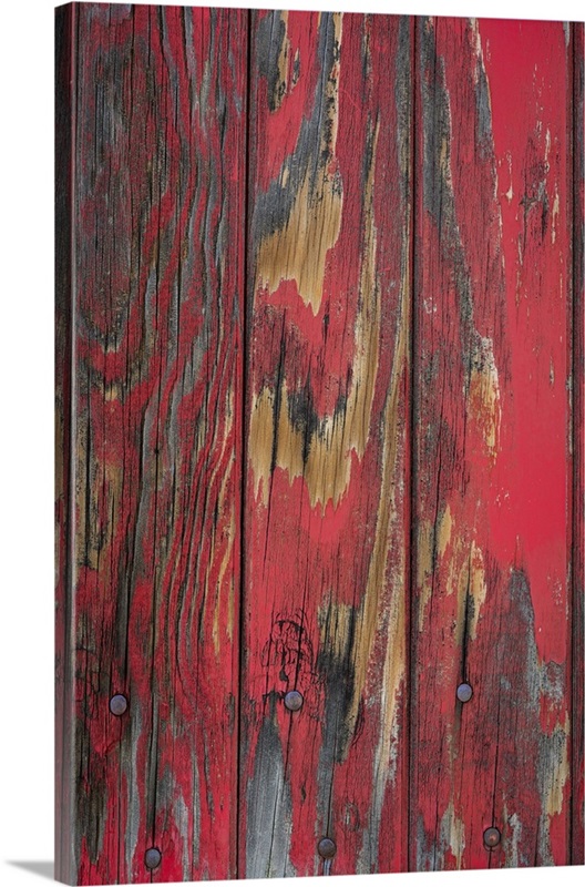 Old Paint I | Great Big Canvas