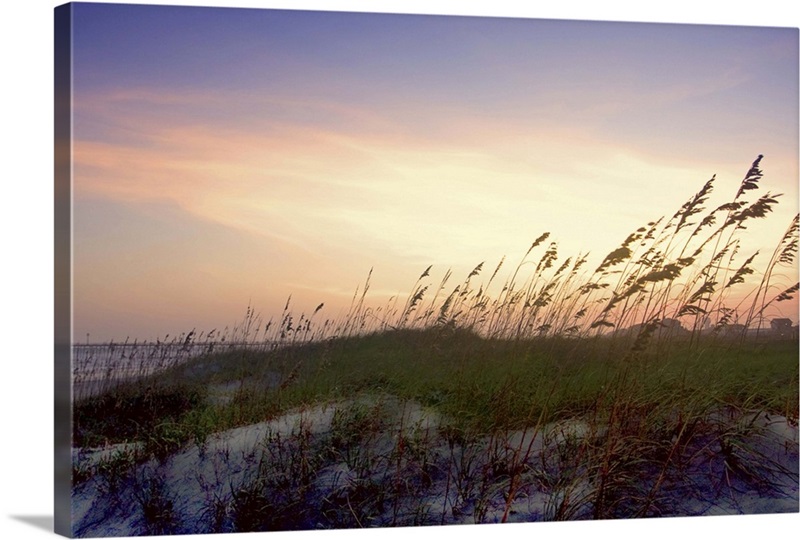 Rosey Sunset II | Great Big Canvas