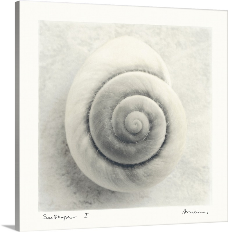 Sea Shapes I | Great Big Canvas