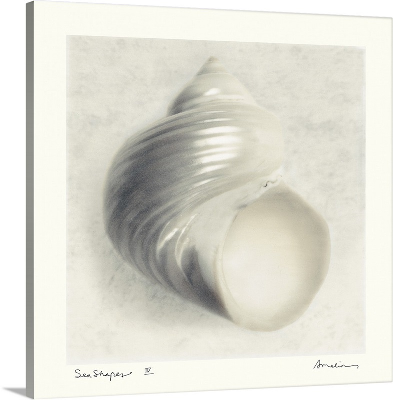 Sea Shapes IV | Great Big Canvas