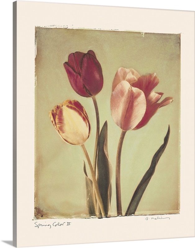 Spring Color II | Great Big Canvas