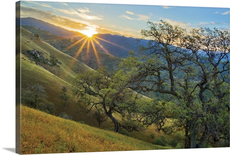 Spring Sunburst I | Great Big Canvas
