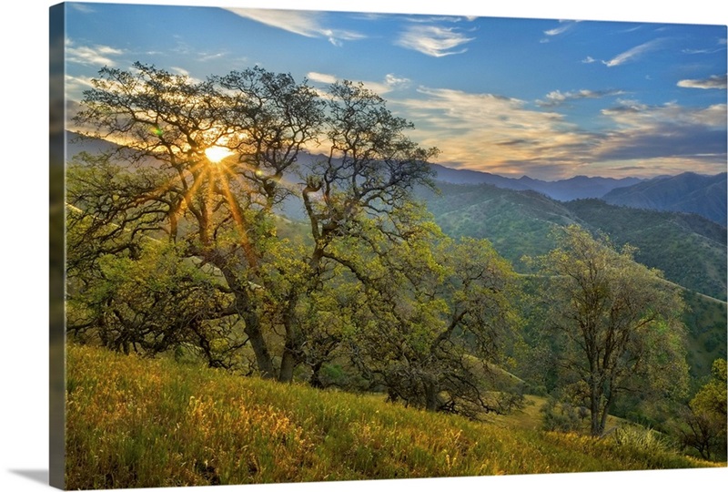 Spring Sunburst II | Great Big Canvas