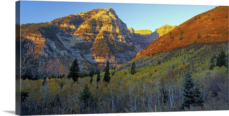 Sundance | Great Big Canvas