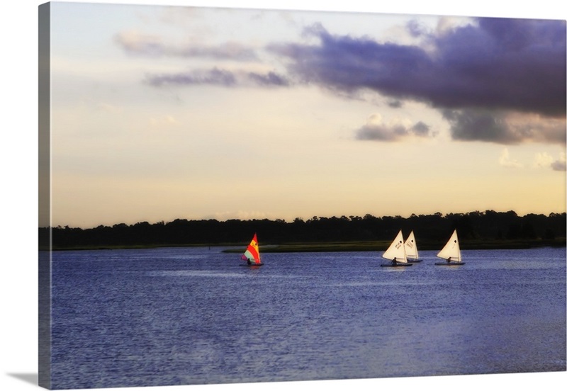 Sunfish Sailors II | Great Big Canvas