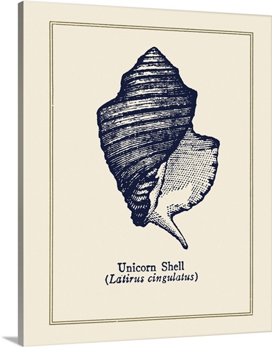 Unicorn Shell | Great Big Canvas