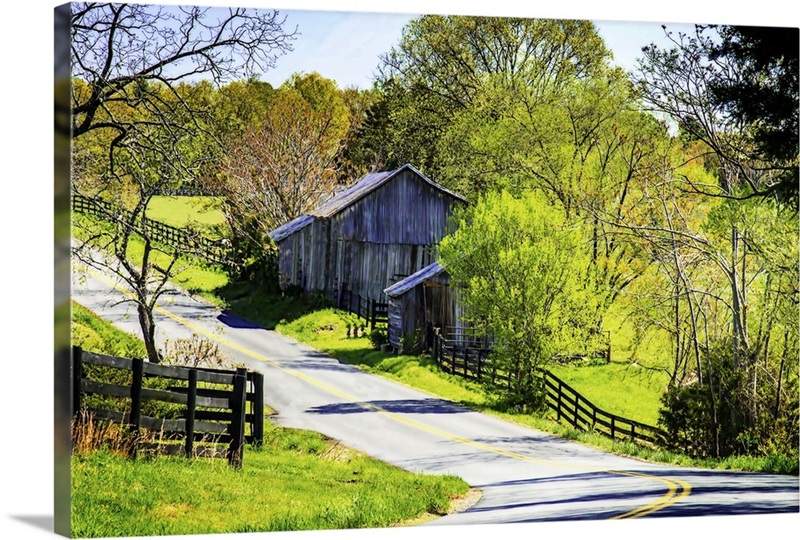 Winding Road | Great Big Canvas