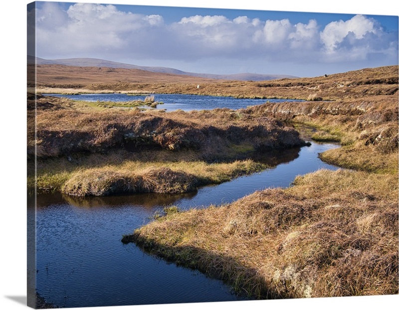 A Wetland Area, Northmavine On Mainland, Shetland, UK Wall Art, Canvas ...