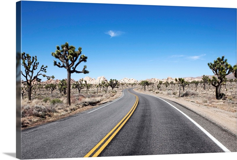 An empty street in the middle of the dessert, California, USA | Great ...
