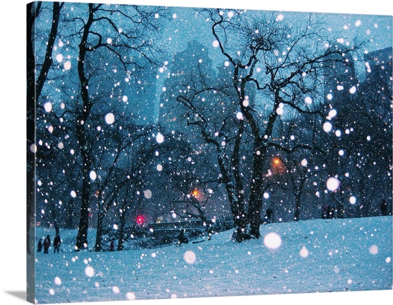 An evening snowstorm in New York City's Central Park. | Great Big Canvas