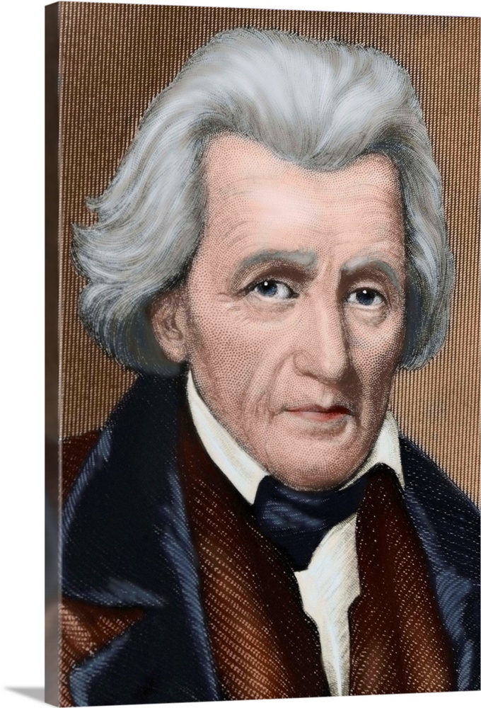 Andrew Jackson (1767-1845), American Statesman | Great Big Canvas