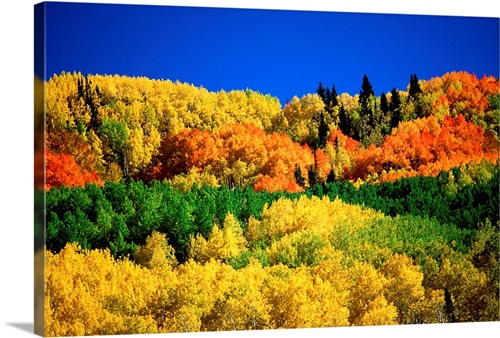 Autumn landscape | Great Big Canvas
