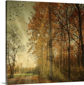 Autumn Landscape. Wall Art, Canvas Prints, Framed Prints, Wall Peels ...