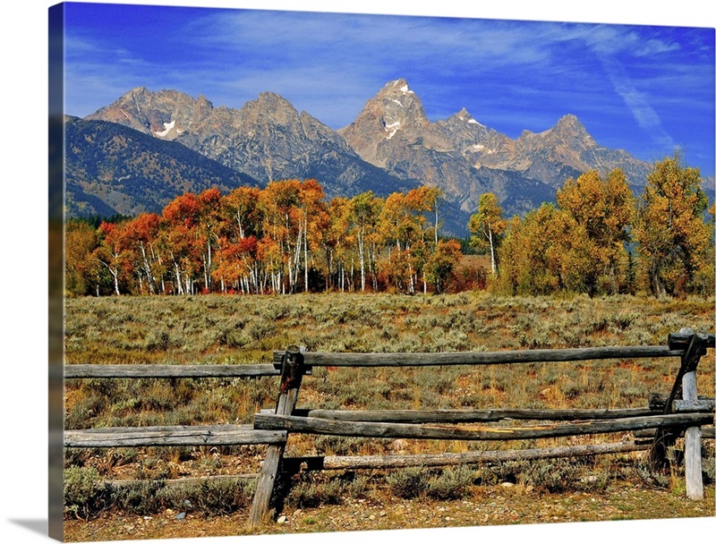 Autumn landscape colors in Grand Teton National Park in Jackson Hole ...
