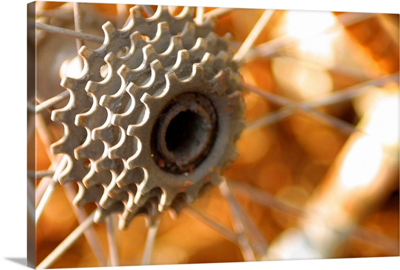 Bike spokes | Great Big Canvas