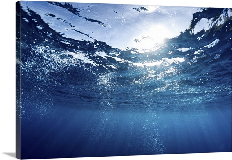 Blue Sea | Great Big Canvas