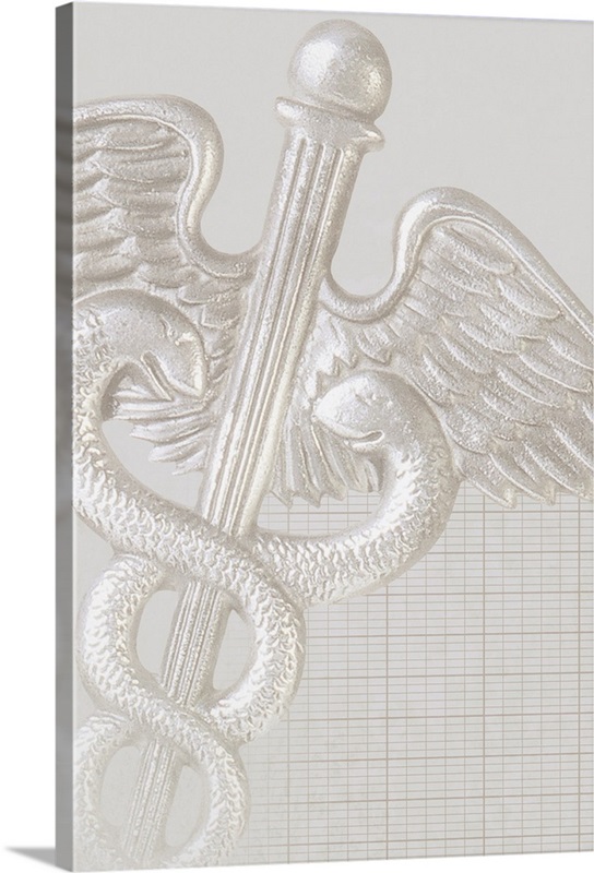 Caduceus and graph | Great Big Canvas