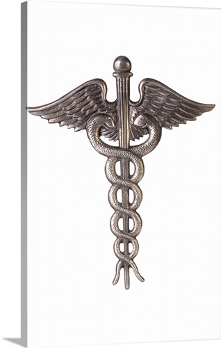 Caduceus icon | Great Big Canvas