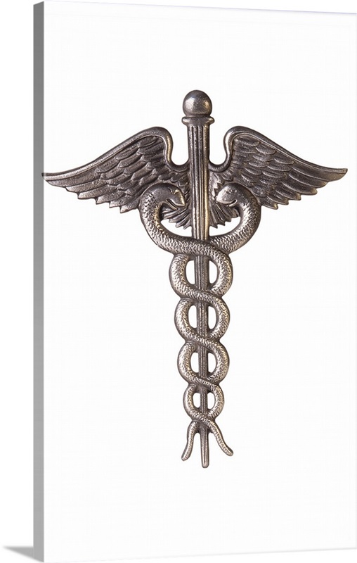 Caduceus icon | Great Big Canvas