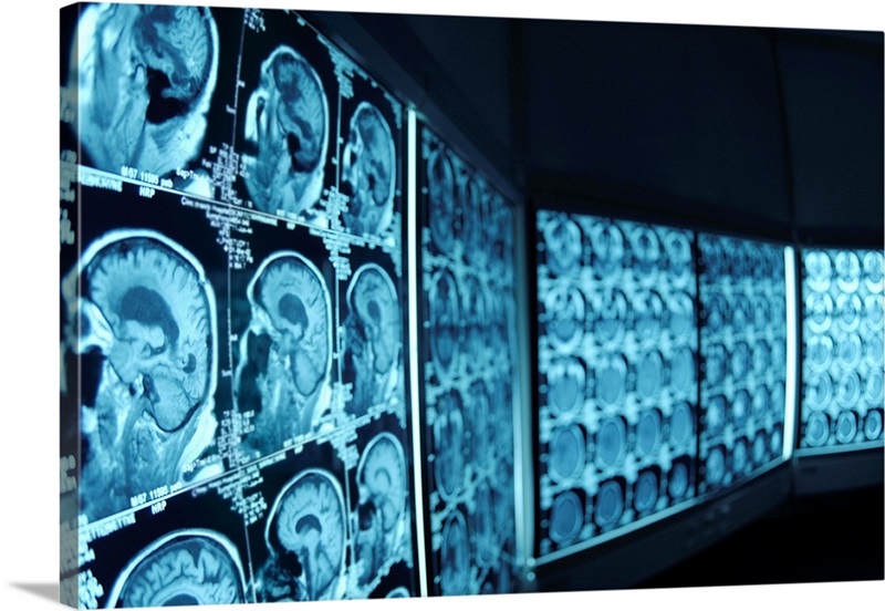 Cat screens on screens | Great Big Canvas