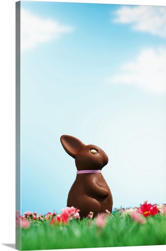 Chocolate Easter bunny amongst flowers in grass, side view | Great Big ...