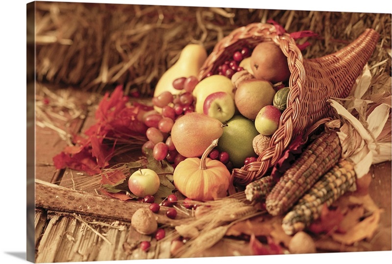 Cornucopia | Great Big Canvas