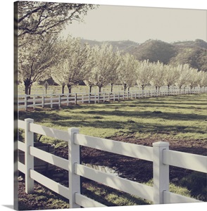 Country Road Wall Art, Canvas Prints, Framed Prints, Wall Peels | Great ...