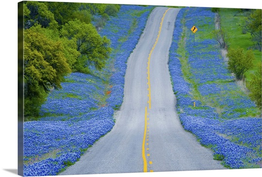 Country Road Wall Art, Canvas Prints, Framed Prints, Wall Peels | Great ...