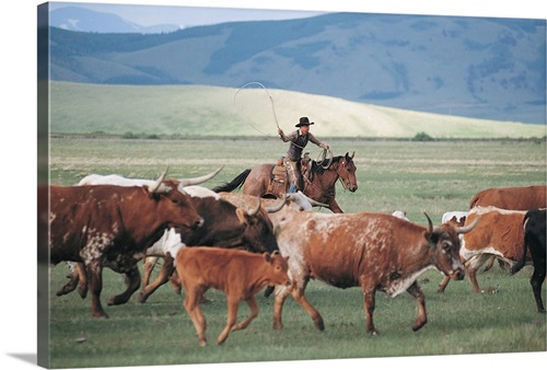 Cowboy and cattle | Great Big Canvas