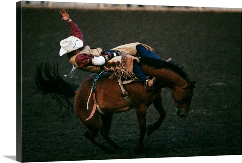 Cowboy In A Rodeo | Great Big Canvas
