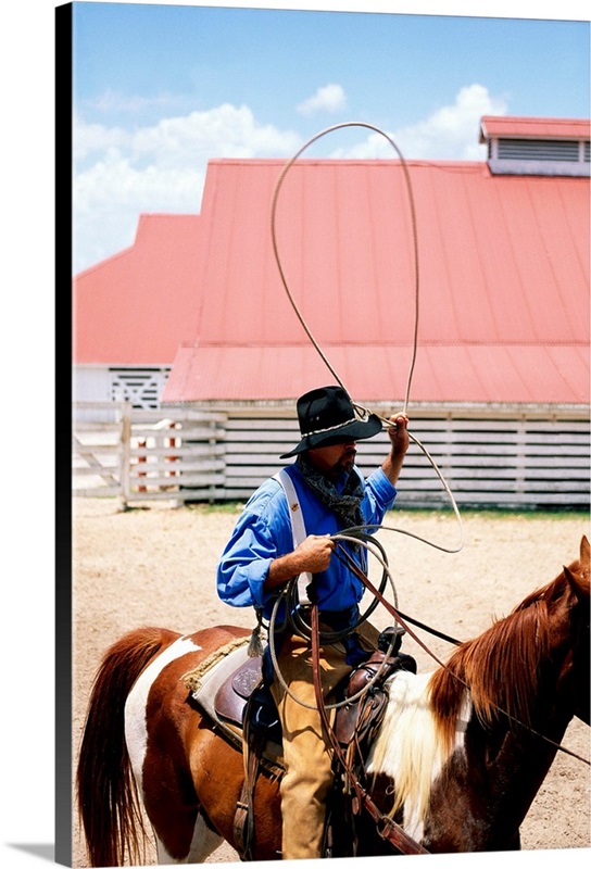 Cowboy on horseback with lasso, George Ranch, Texas | Great Big Canvas