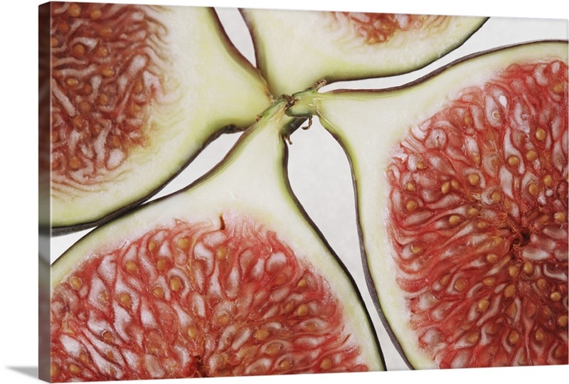 Cross-Section of a Fig | Great Big Canvas