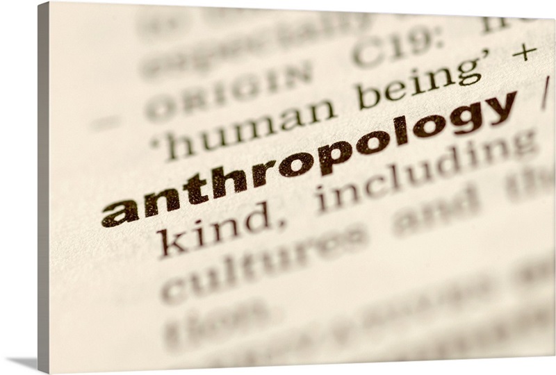 Definition of anthropology | Great Big Canvas