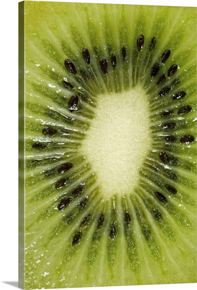 Detail of a kiwi Wall Art, Canvas Prints, Framed Prints, Wall Peels ...