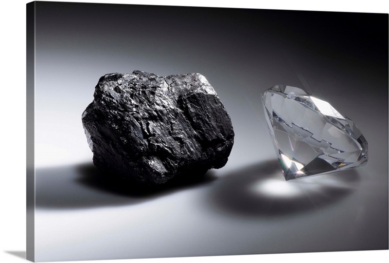 Diamond and piece of coal | Great Big Canvas