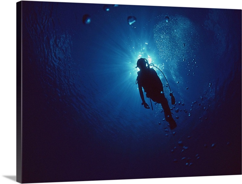 Diving | Great Big Canvas