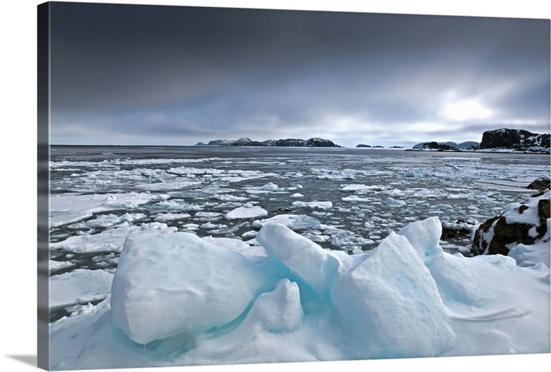 Early spring in northeast Newfoundland. | Great Big Canvas