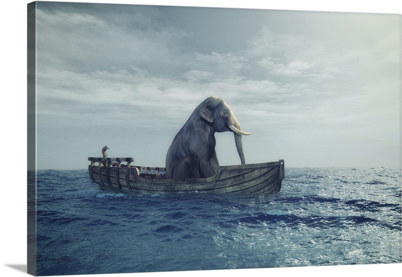 Elephant In A Boat At Sea | Great Big Canvas