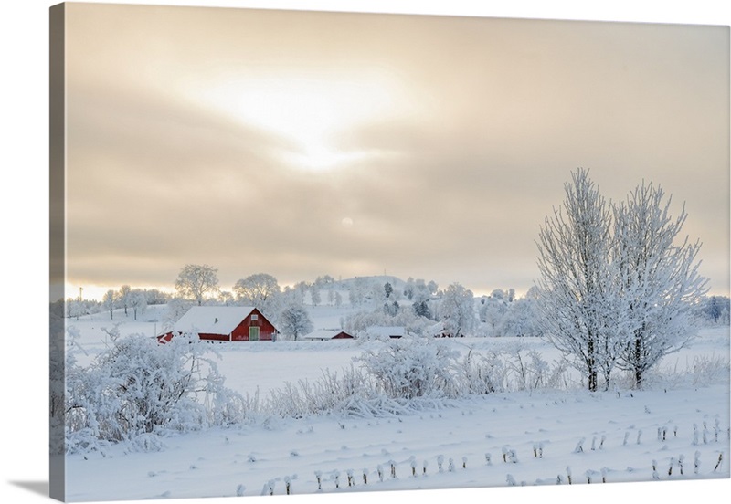 Farm In A Rural Winter Landscape With Snow And Frost | Great Big Canvas