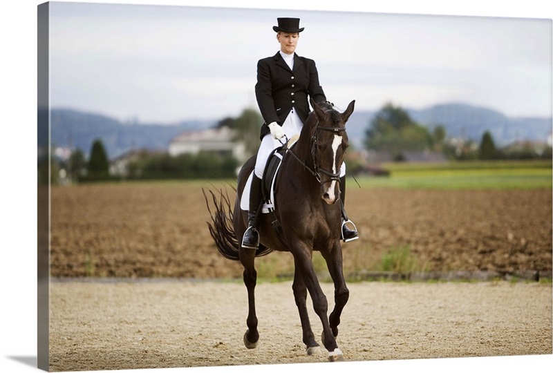Female dressage rider exercising | Great Big Canvas