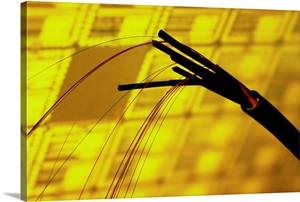 Fiber optic cable Wall Art, Canvas Prints, Framed Prints, Wall Peels ...