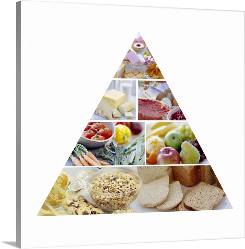 Food pyramid | Great Big Canvas