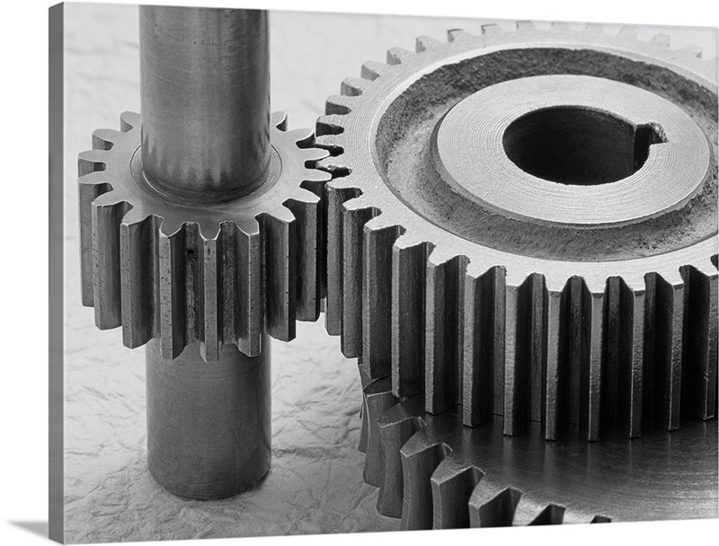 Gear | Great Big Canvas