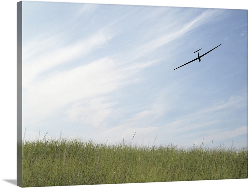 Glider flying in sky with grass in foreground | Great Big Canvas