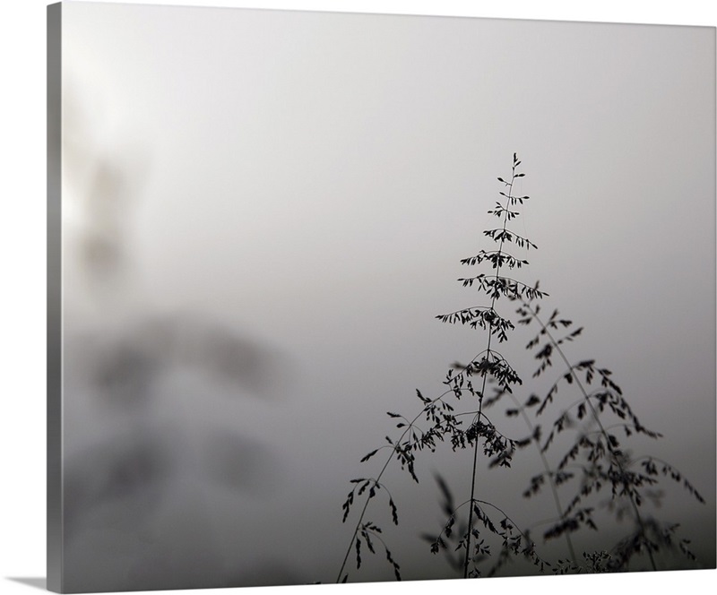 Grass | Great Big Canvas