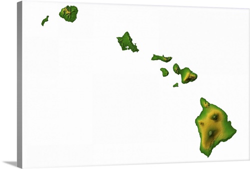 Hawaii topographic map | Great Big Canvas
