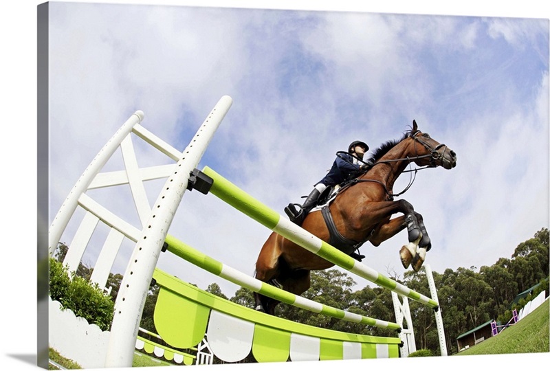 Horseback Rider Jumping Hurdle | Great Big Canvas