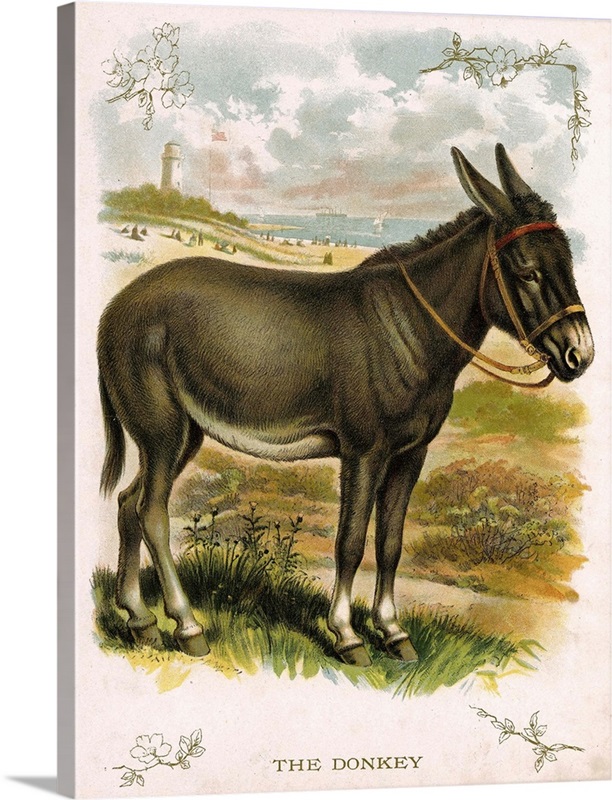 Illustration Of Donkey | Great Big Canvas